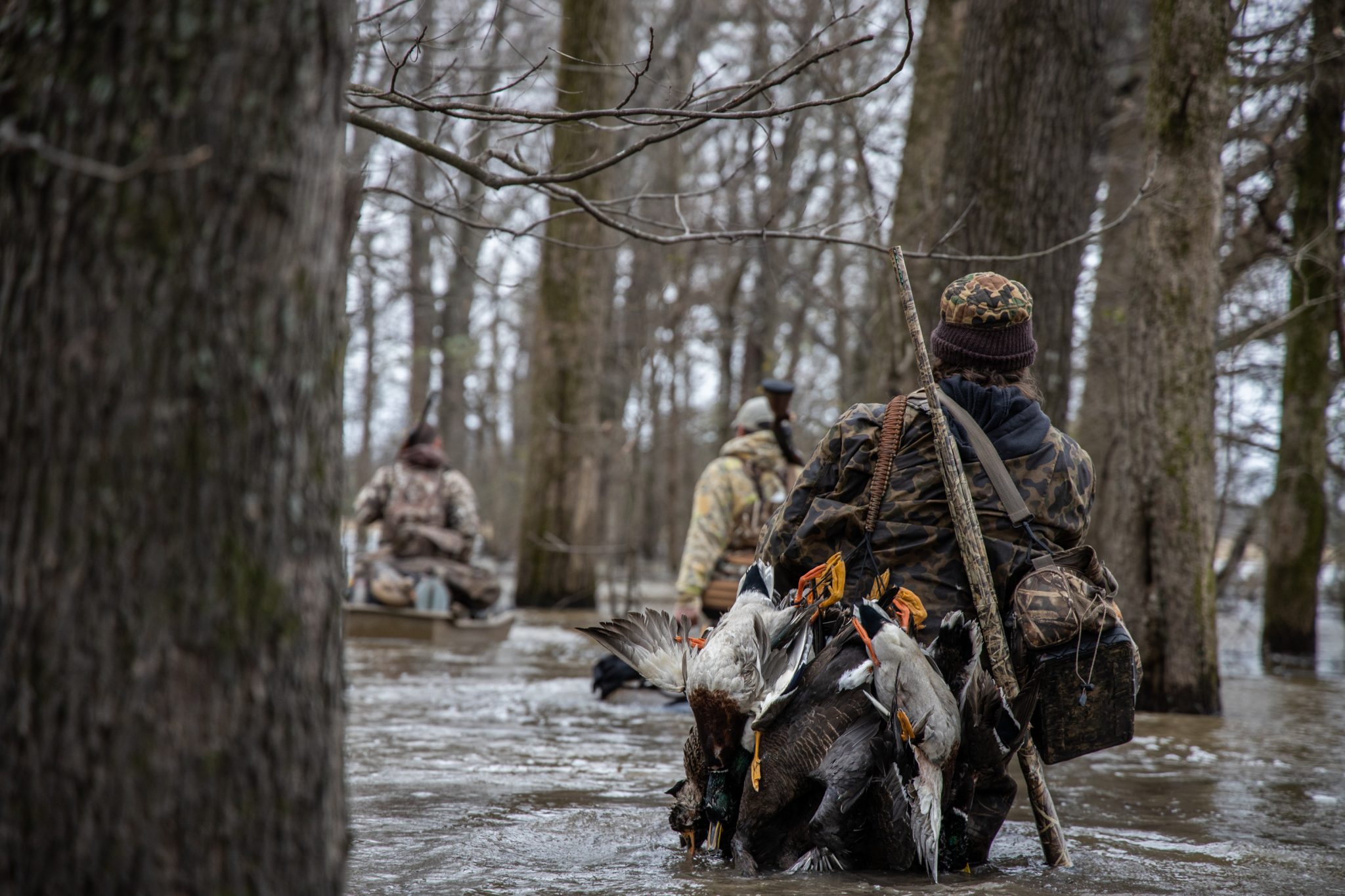 North America Duck Hunting - Gage Outdoor Expeditions