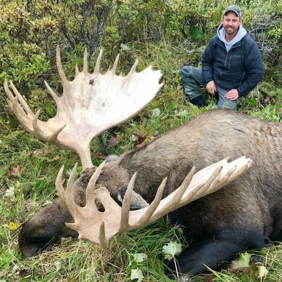 Moose - Gage Outdoor Expeditions