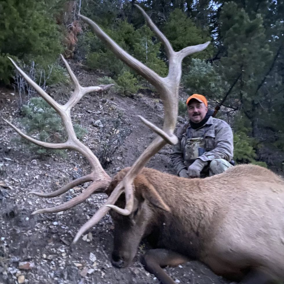 Elk - Gage Outdoor Expeditions