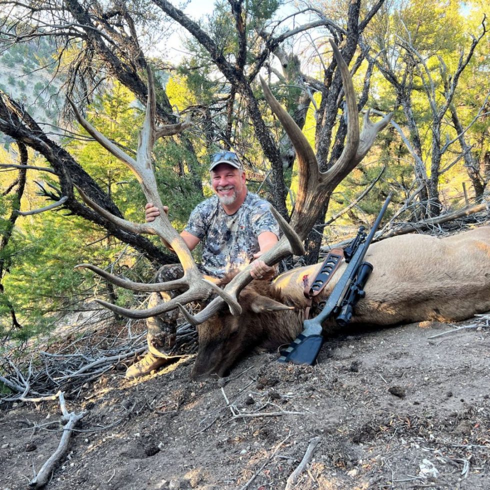 Elk - Gage Outdoor Expeditions