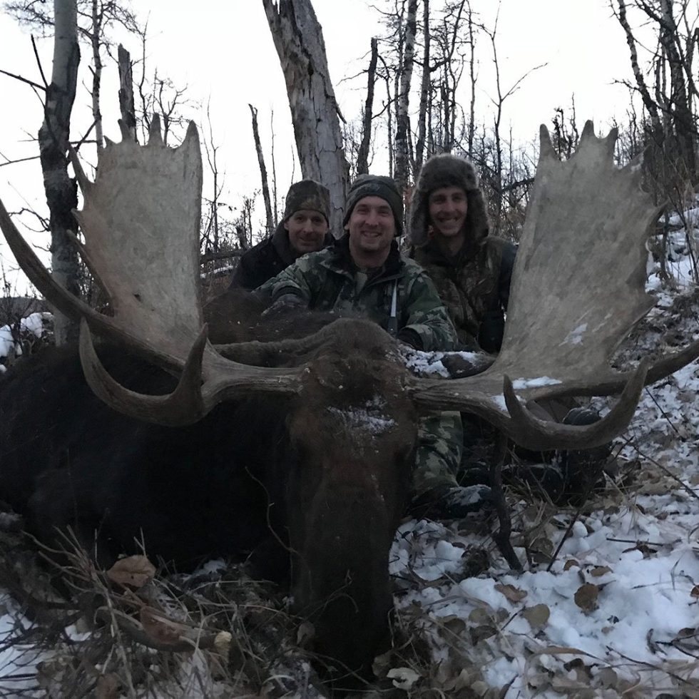 Moose - Gage Outdoor Expeditions