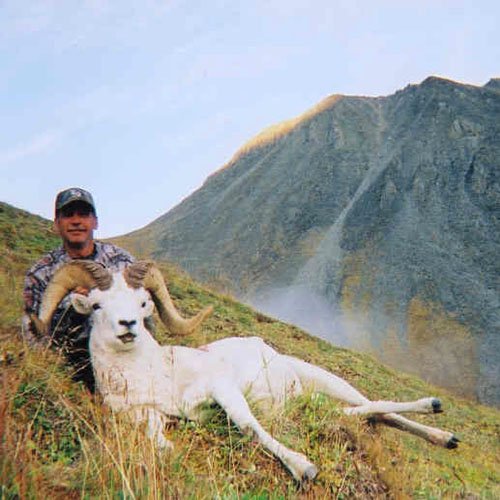 Alaska Big Game Hunting - Gage Outdoor Expeditions