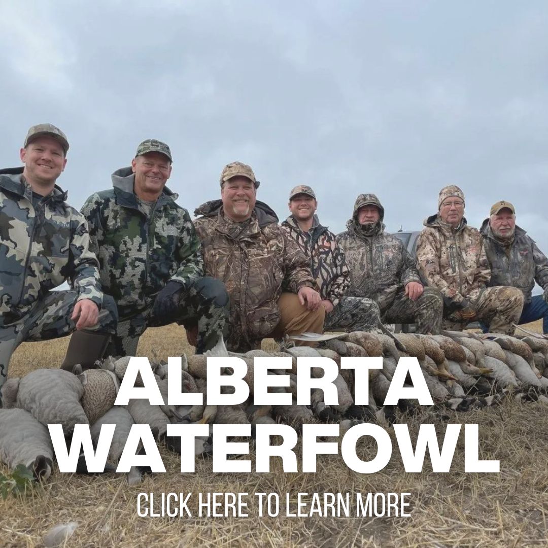 Wingshooting: Gage Outdoor Expeditions