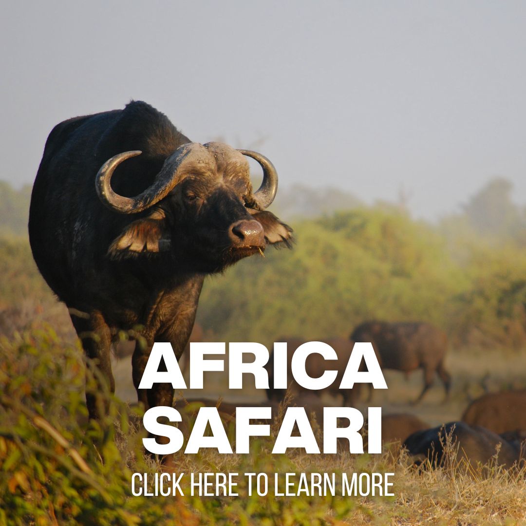 Exotic Hunting - Gage Outdoor Expeditions